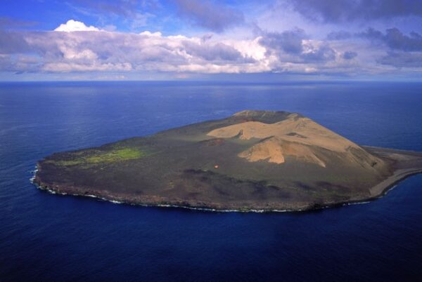 Skarfur og lyngfeti í Surtsey - Eyjafréttir