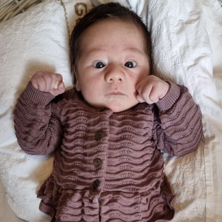 Rauðu dagarnir í ár - Eyjafréttir