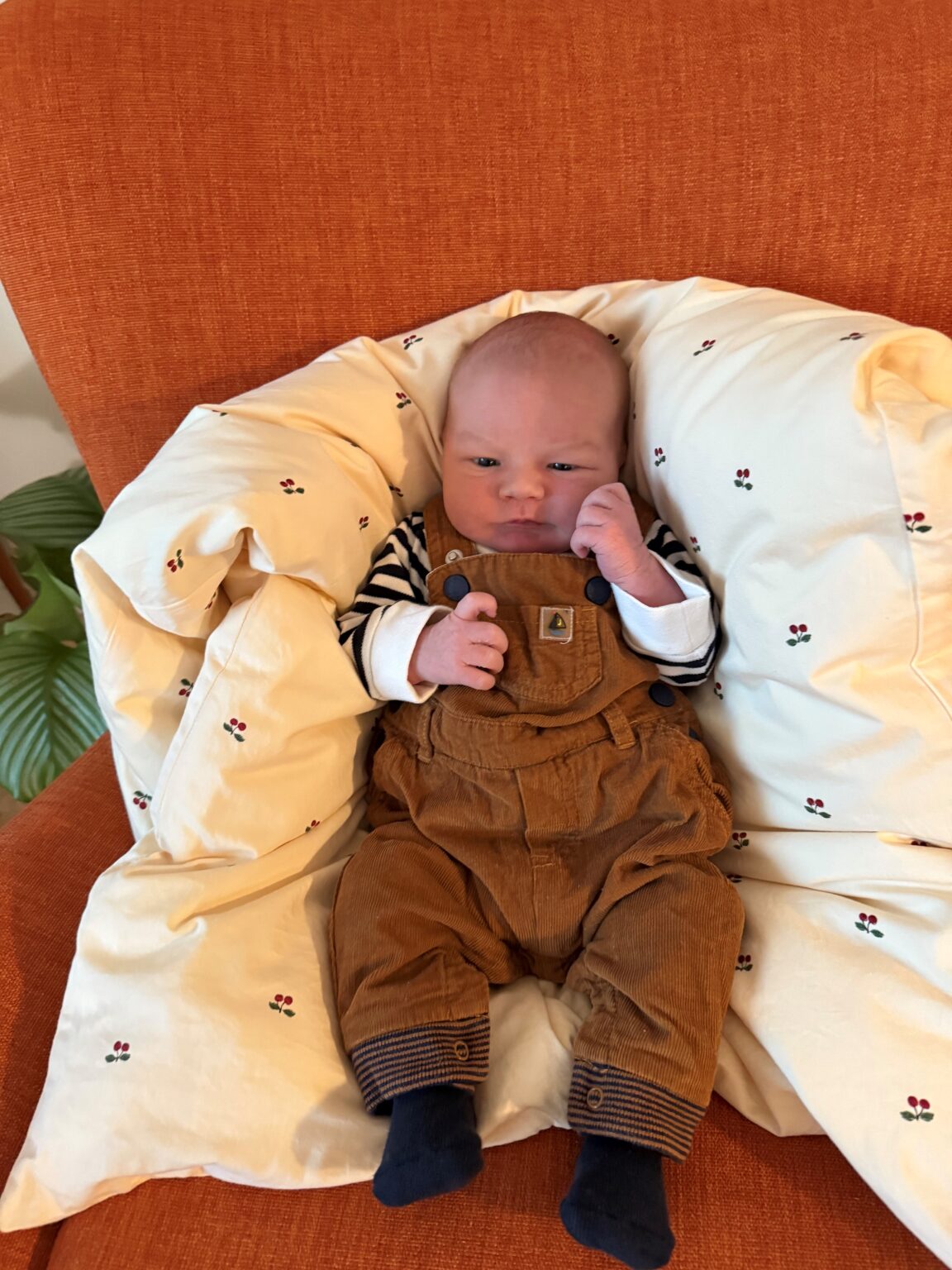 Rauðu dagarnir í ár - Eyjafréttir